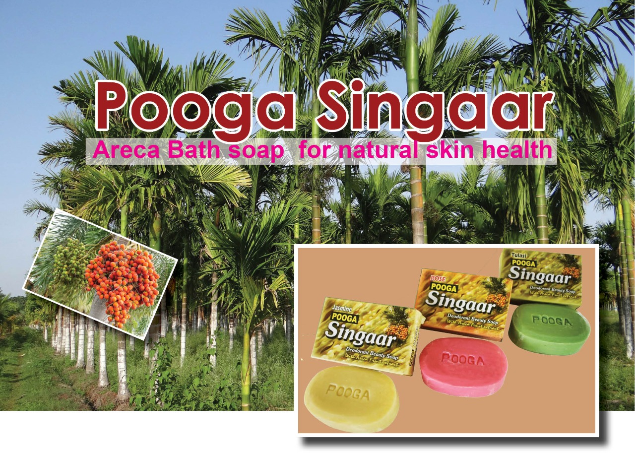 Pooga Singaar - Areca bath soap for natural skin health - Health Vision