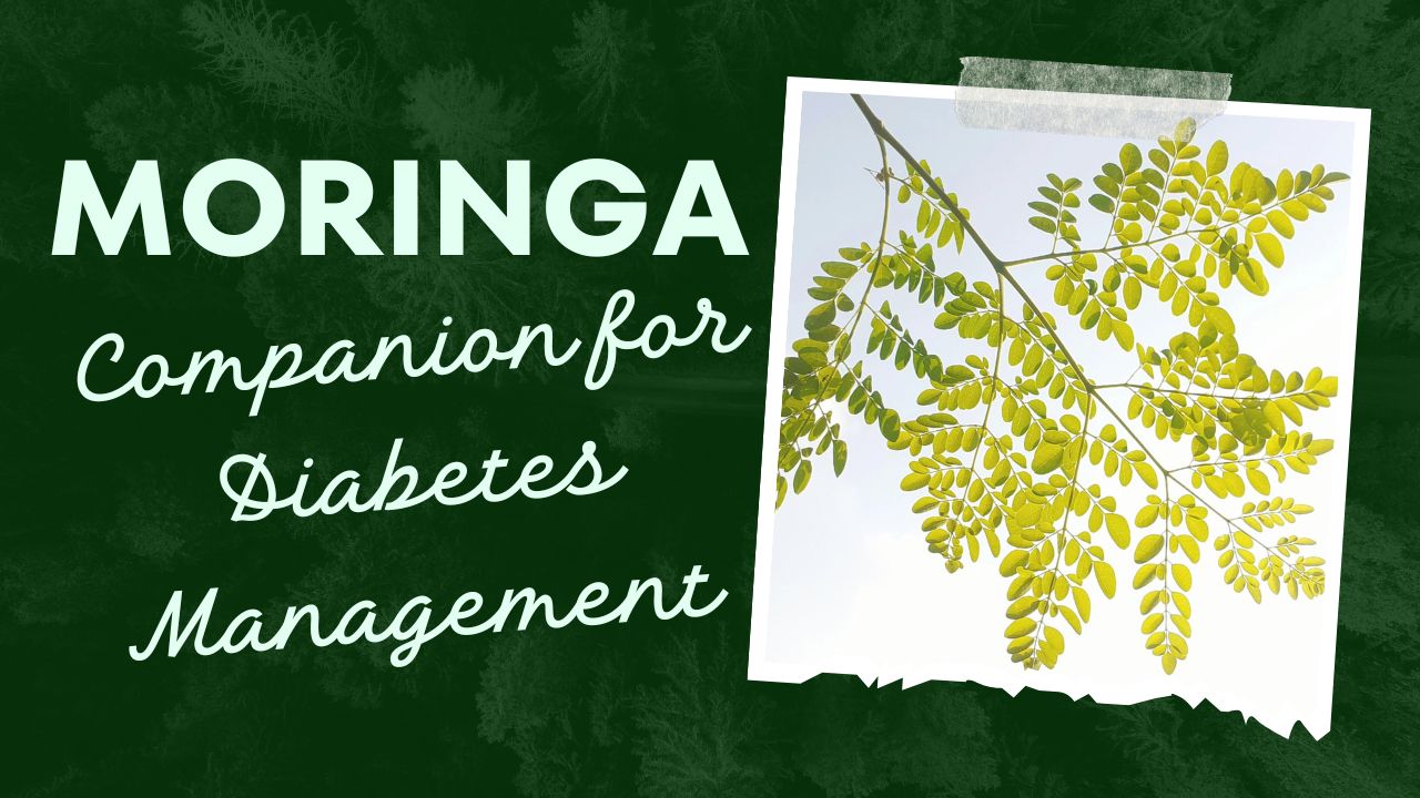 Moringa - Ultimate Companion for Diabetes Management